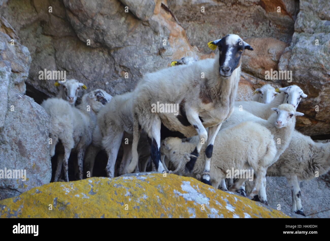 Photography of nature in the open space Stock Photo - Alamy
