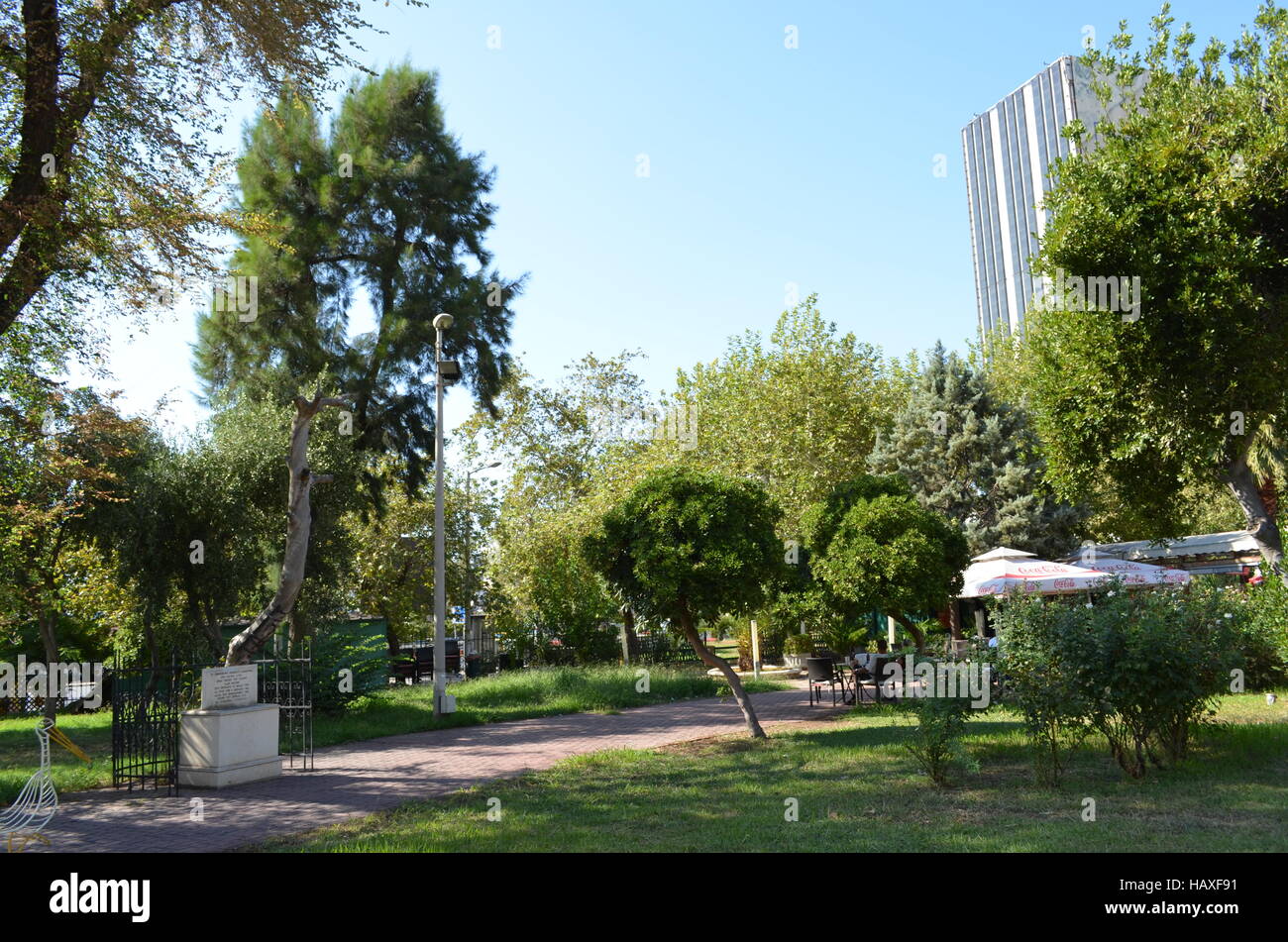 Photography of nature in the open space Stock Photo - Alamy