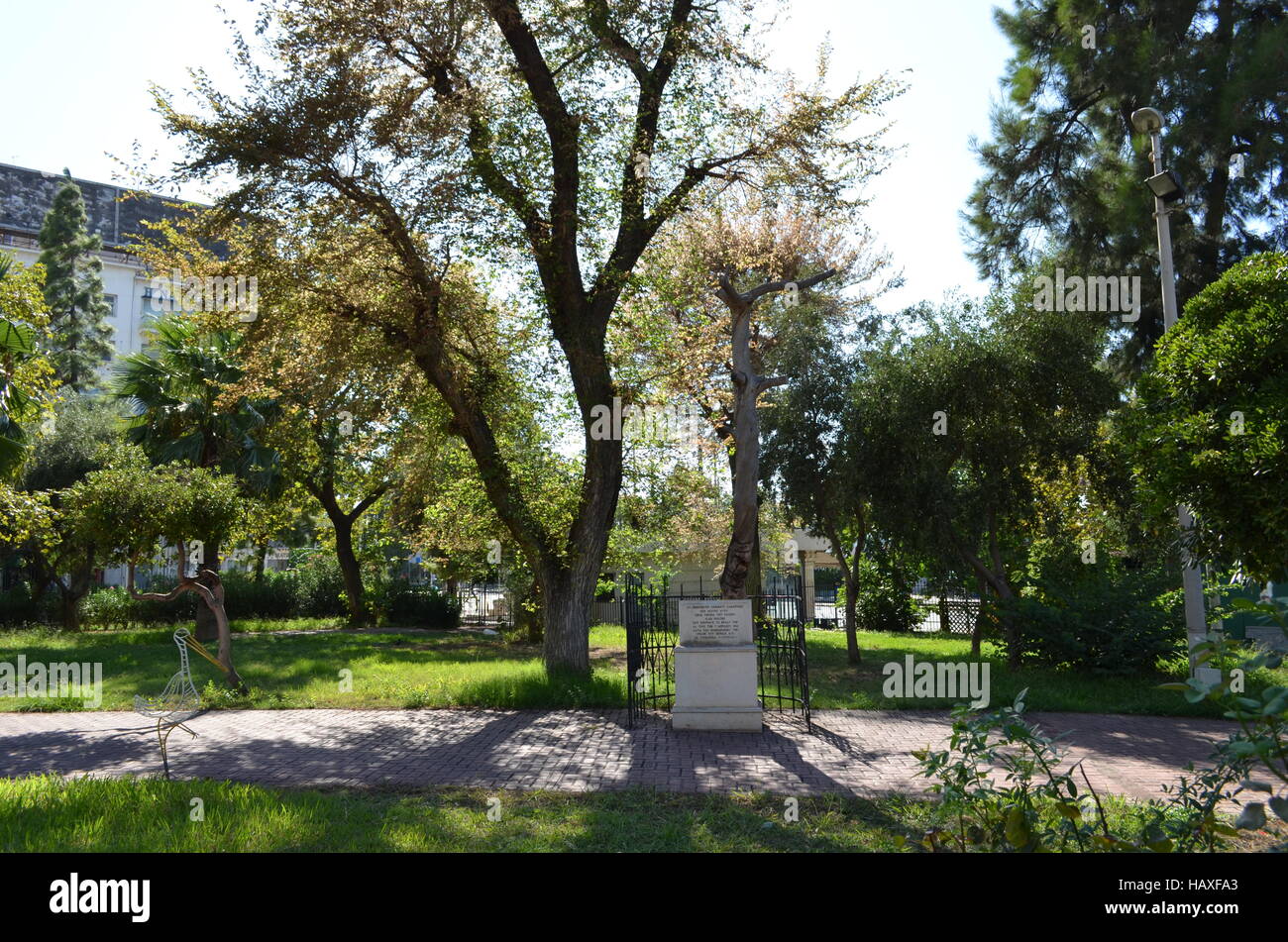 Photography of nature in the open space Stock Photo - Alamy