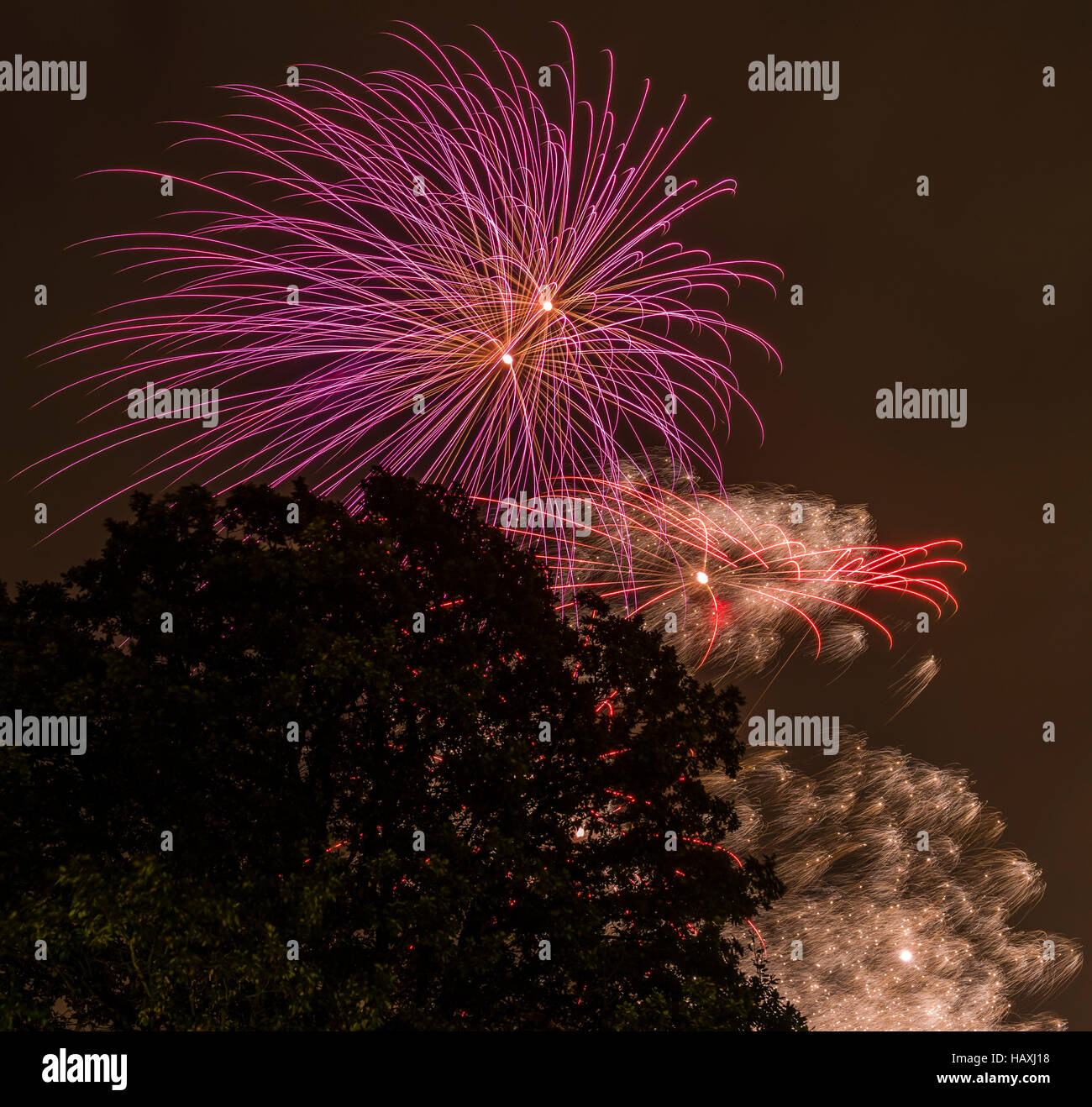 Fireworks captured in a long exposure in north London on Bonfire Night ...