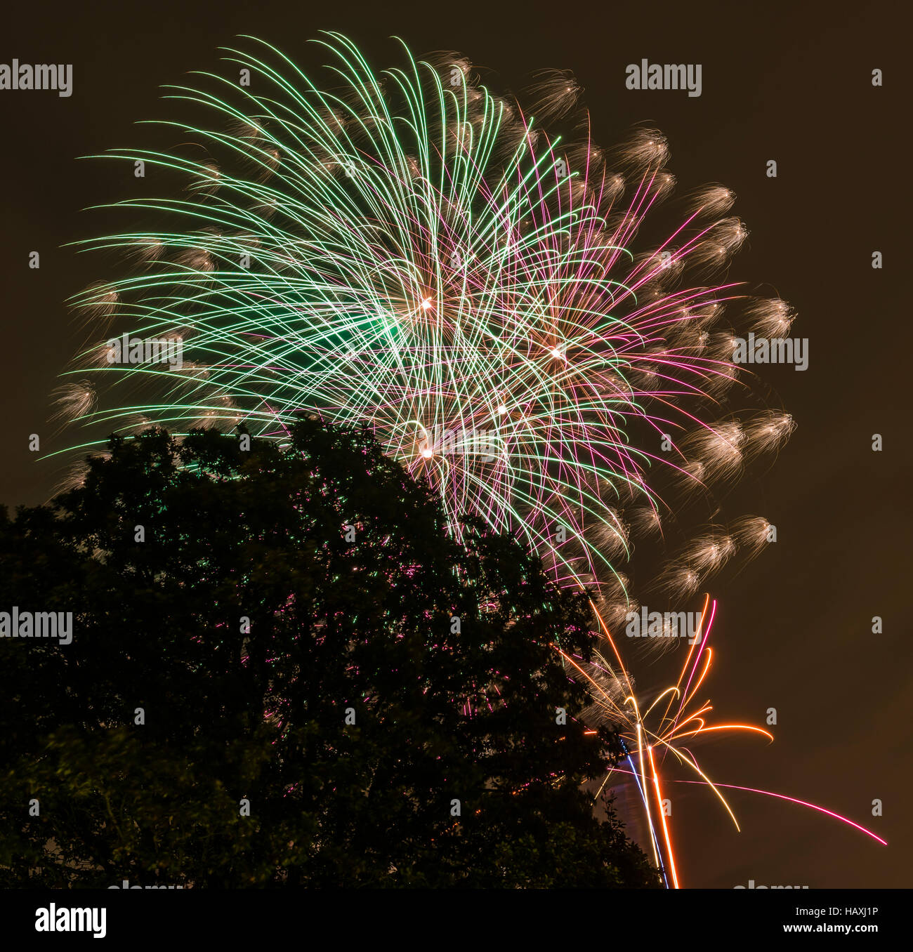 Fireworks captured in a long exposure in north London on Bonfire Night ...