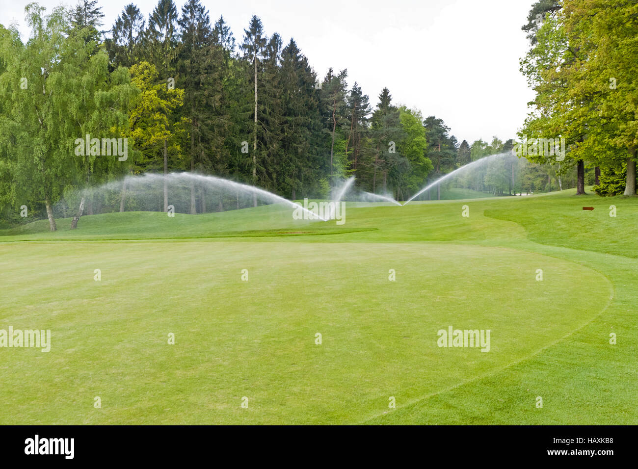 Turf irrigation hi-res stock photography and images - Alamy