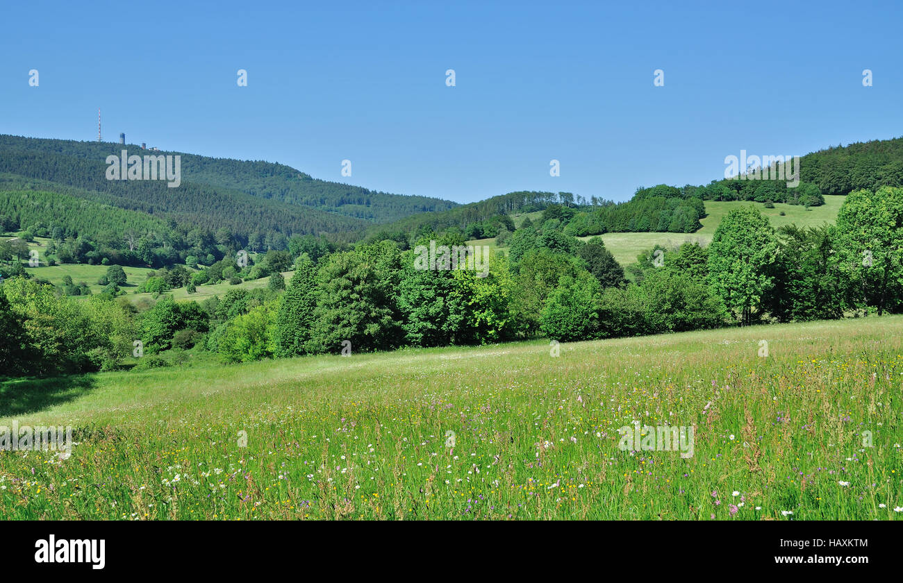 Thüringen forest germany hi-res stock photography and images - Alamy