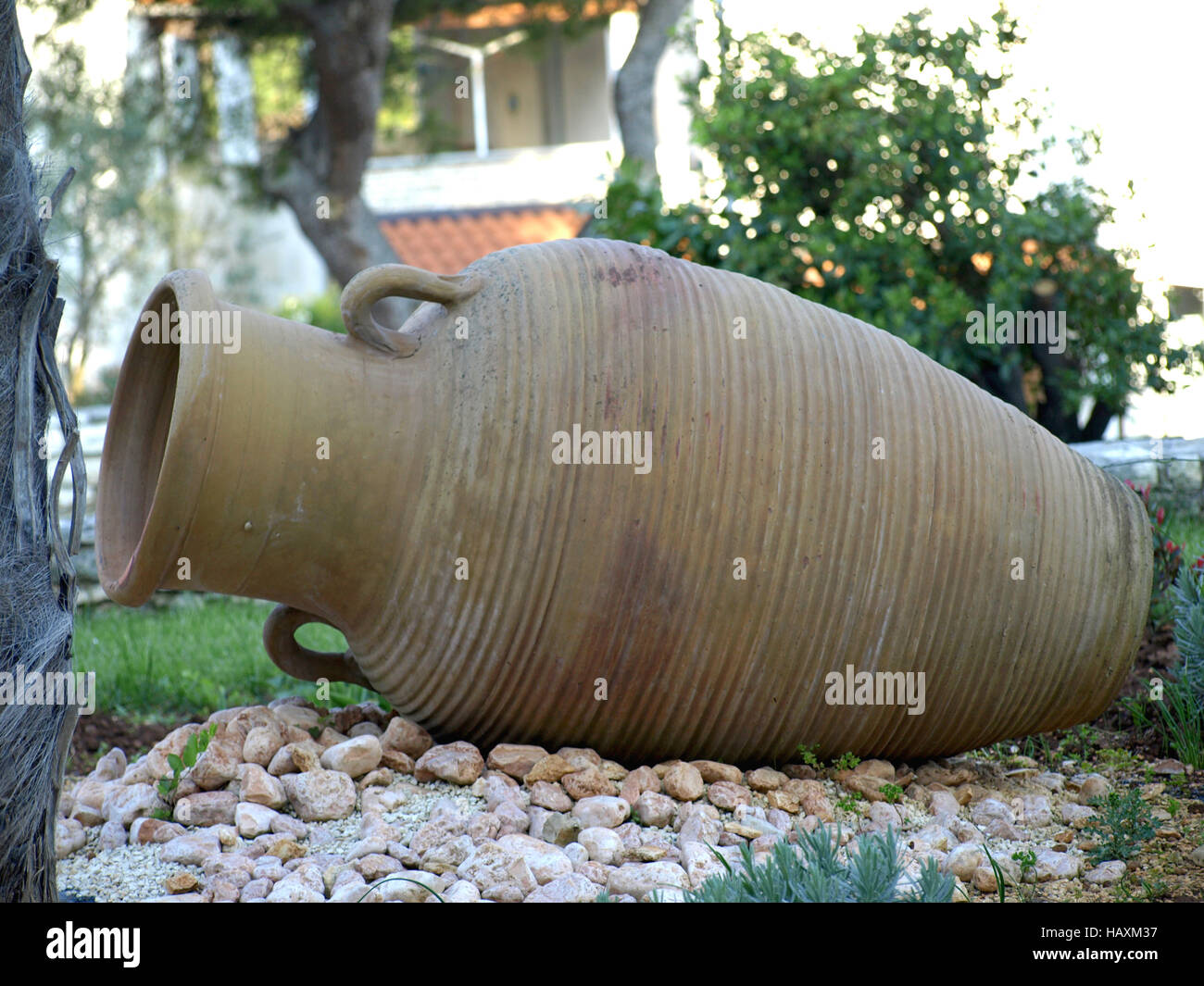 Flower amphora hi-res stock photography and images - Alamy