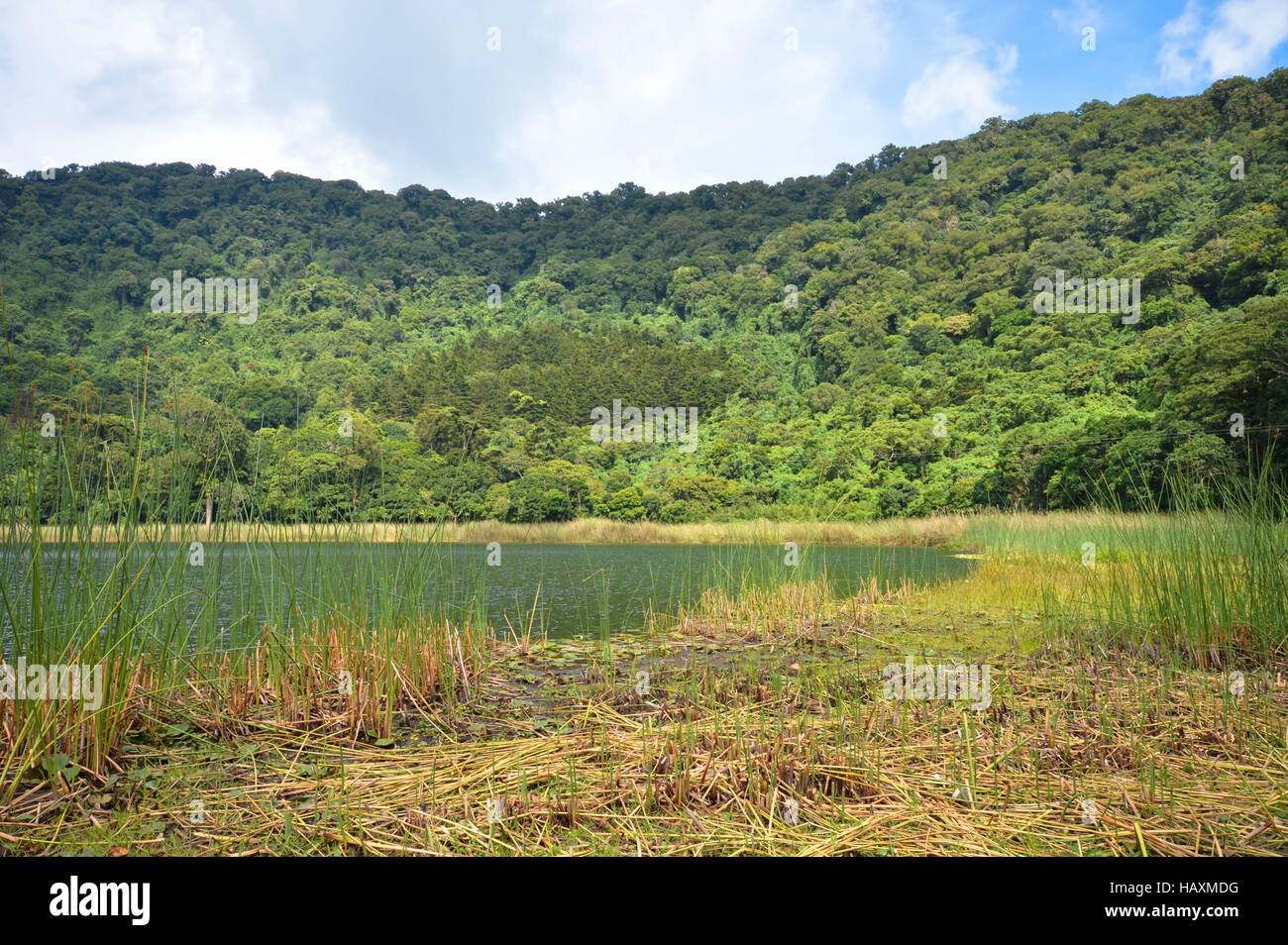 Beautiful landscape of the Laguna Verde with a boat, in Apaneca, Ruta ...