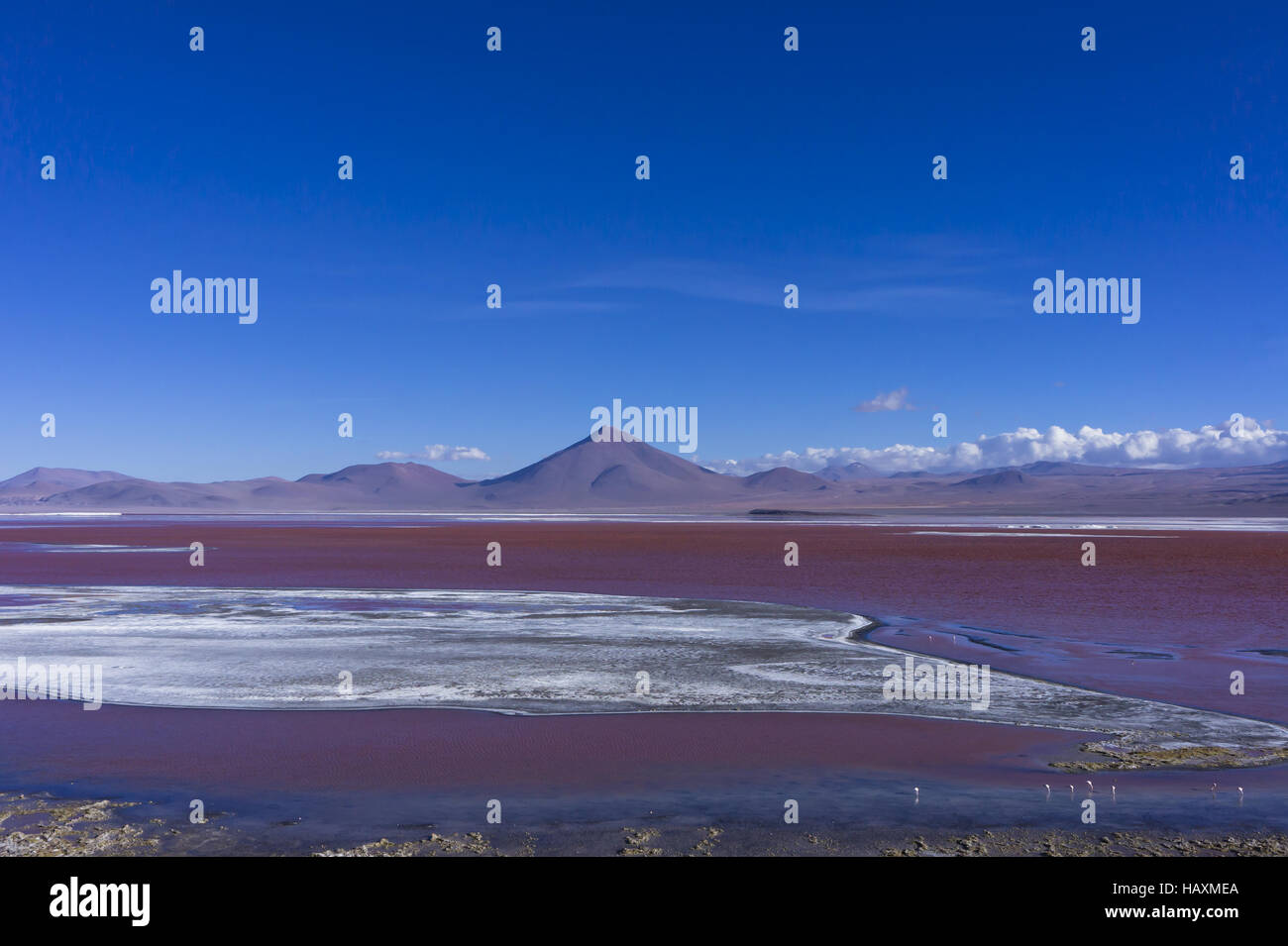 Bolivia, Laguna Colorada Stock Photo - Alamy