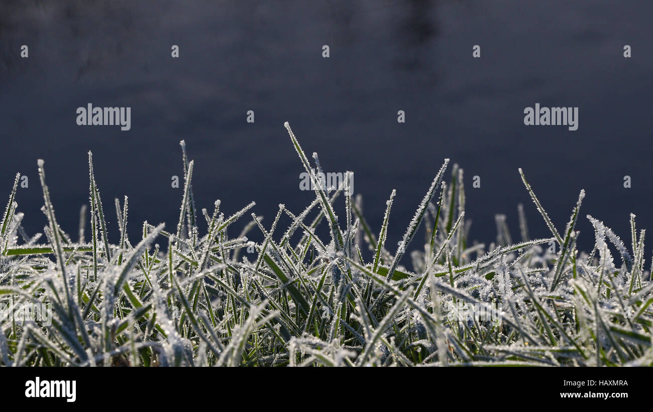 Winter frost on grass background Stock Photo - Alamy