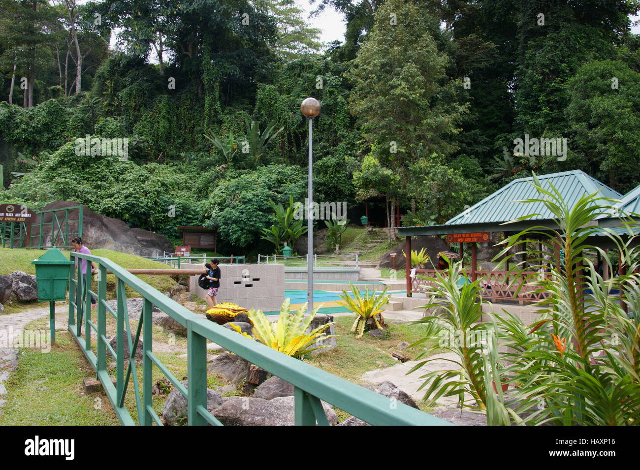 Poring Hot Springs, Kinabalu Park, Sabah, Borneo, Malaysia, Southeast ...