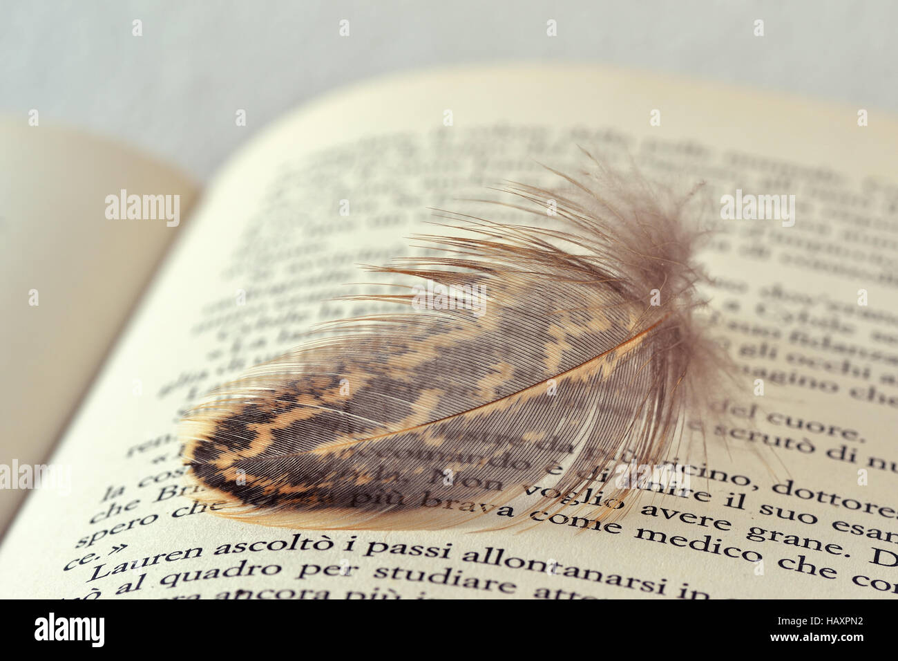 Feather on book Stock Photo - Alamy