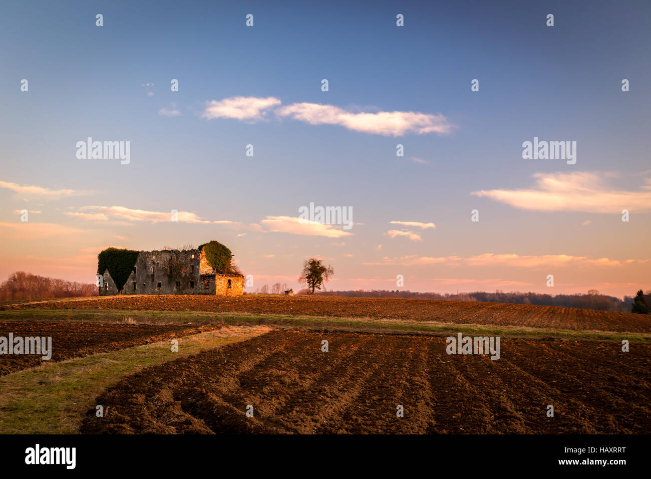 an abandoned and ruined farm in the fields of Italy Stock Photo - Alamy