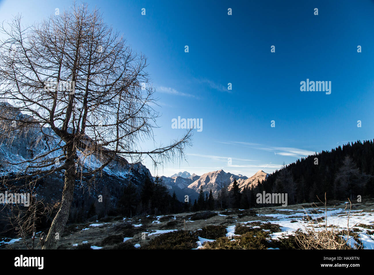dry winter in the italian alps Stock Photo - Alamy