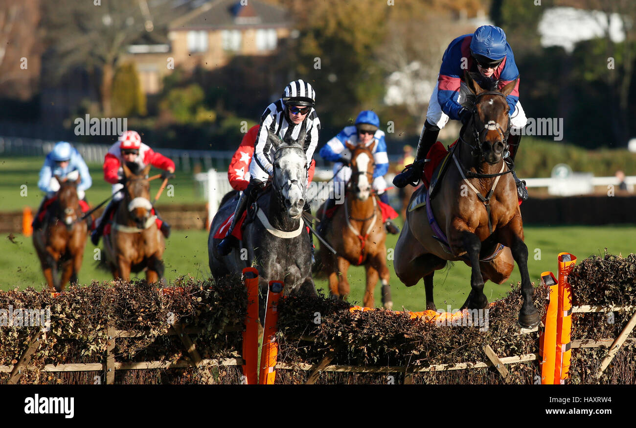 Arctic Gold ridden by Tom Humphries (right) clears the last flight ...