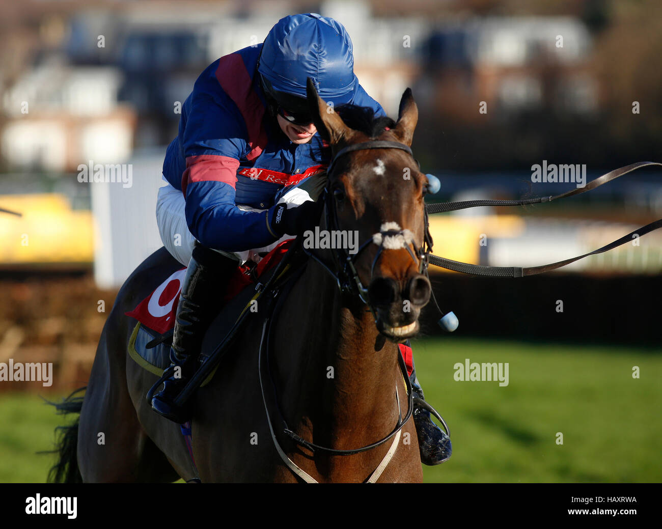 Arctic Gold ridden by Tom Humphries clears the last flight before going ...
