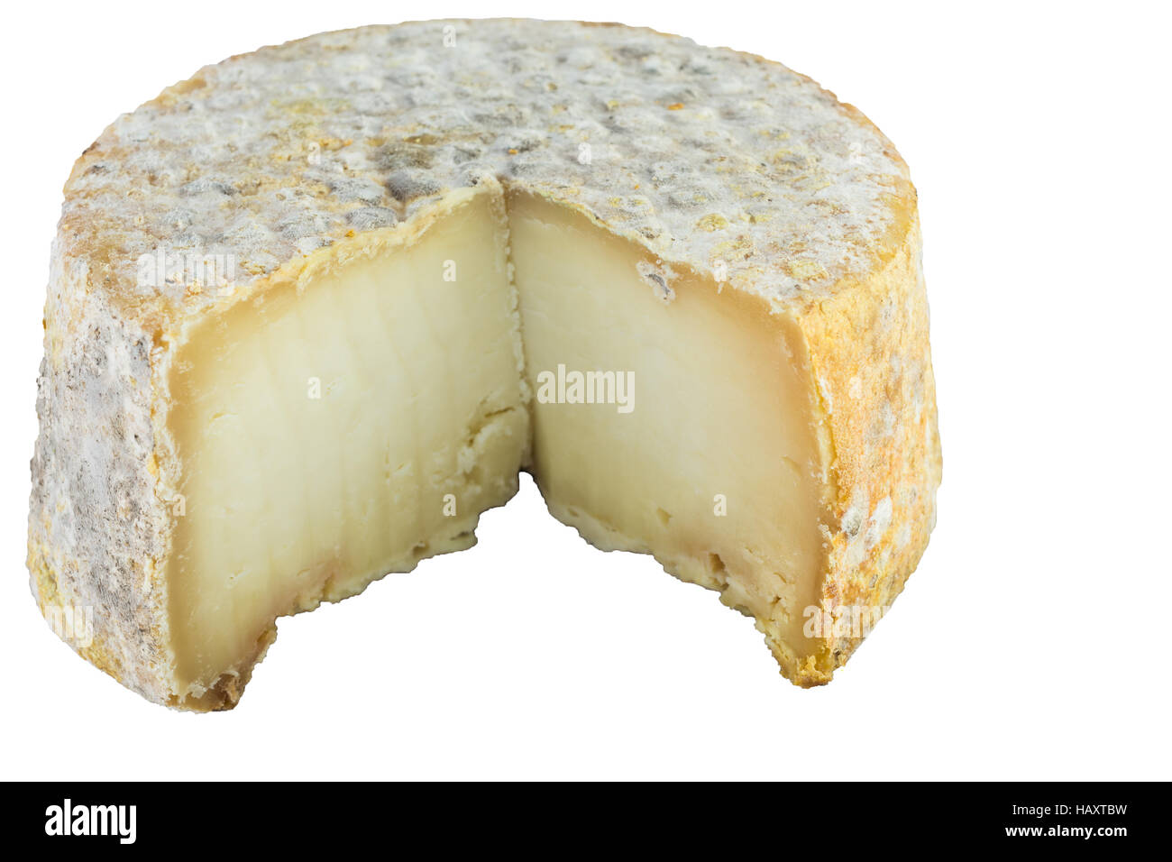 The form of hard cheese of a bloomy rind goat's milk, frost crust ...
