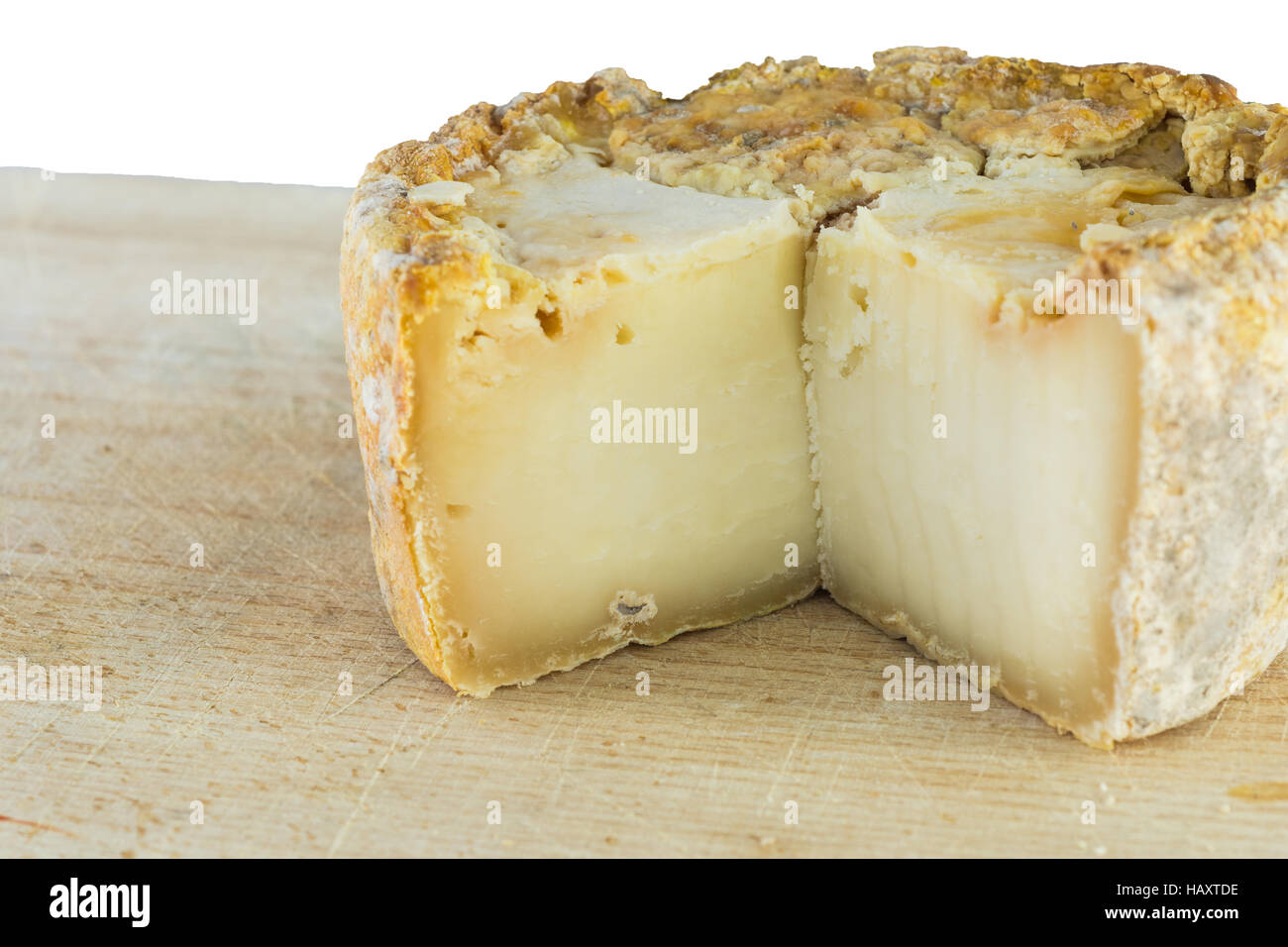 The form of hard cheese of a bloomy rind goat's milk, frost crust ...