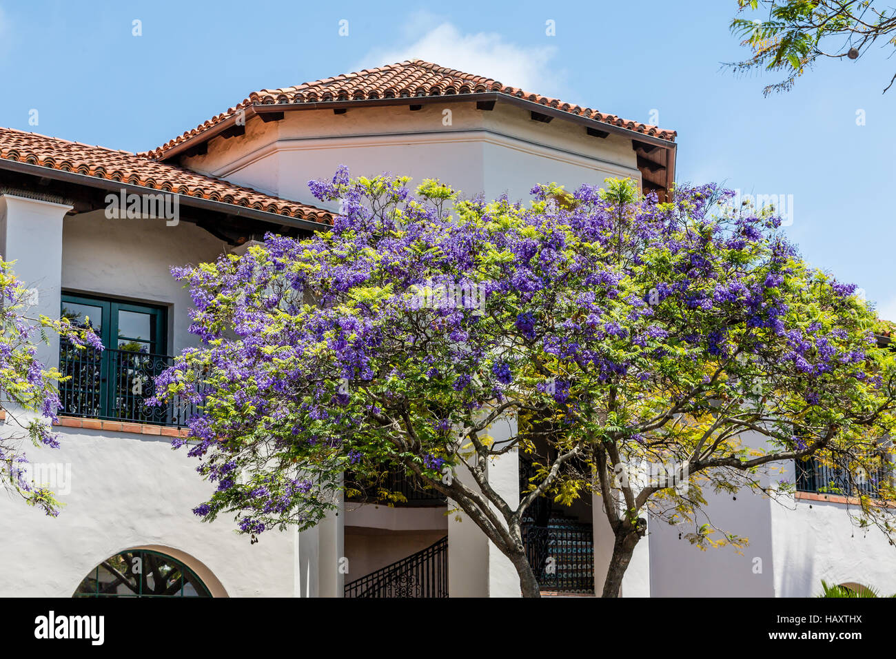 Trees outside white stucco Santa Barbara Resort Stock Photo - Alamy