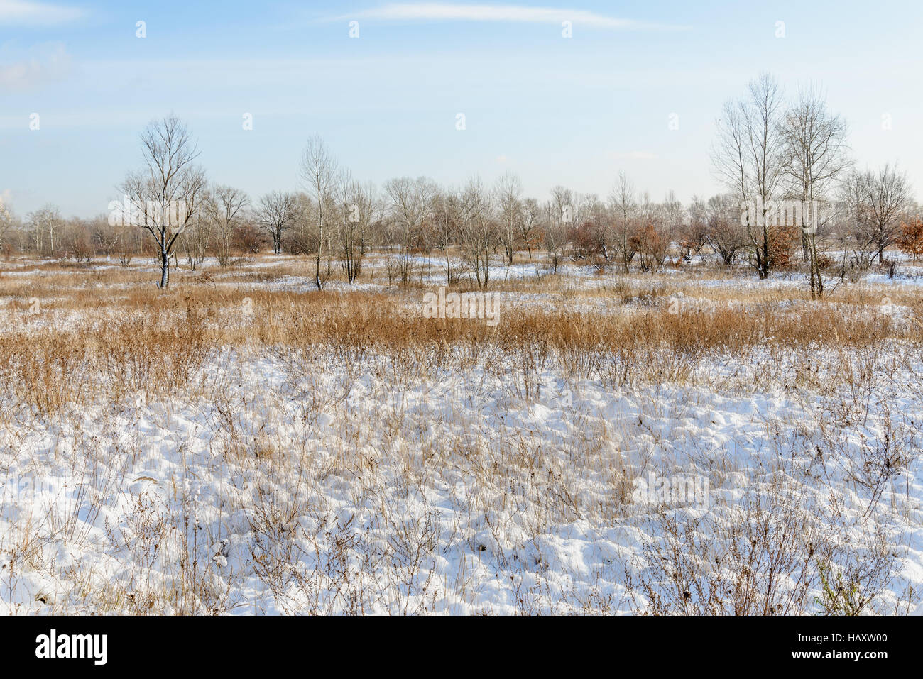 Lowland covered by snow in winter. Trees without leaves appear in the ...