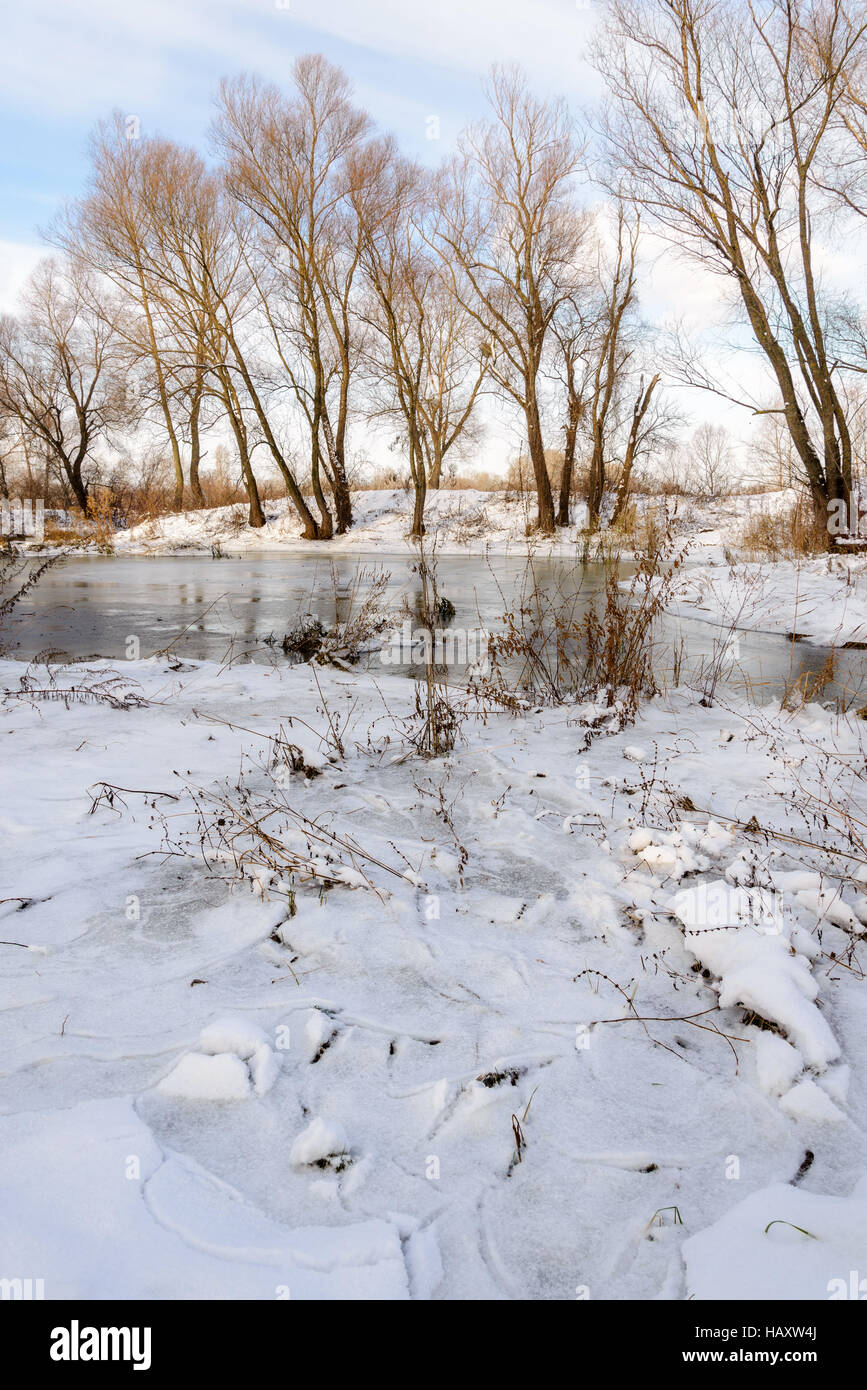 Winter trees covered by snow close to the frozen Dnieper river Stock ...
