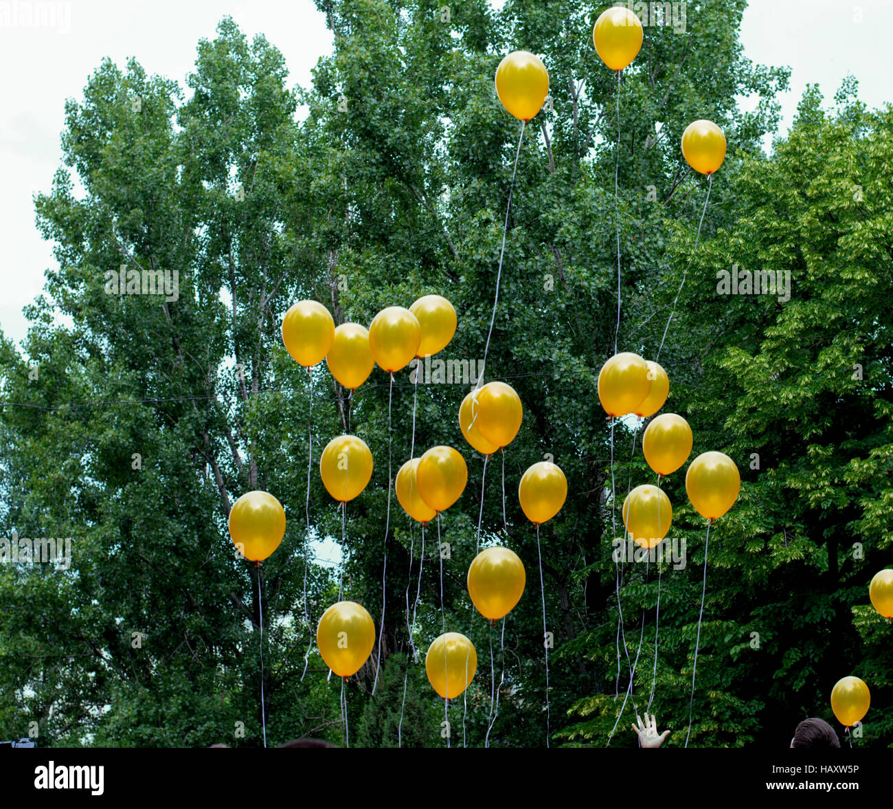 Hand releasing balloon hi-res stock photography and images - Alamy