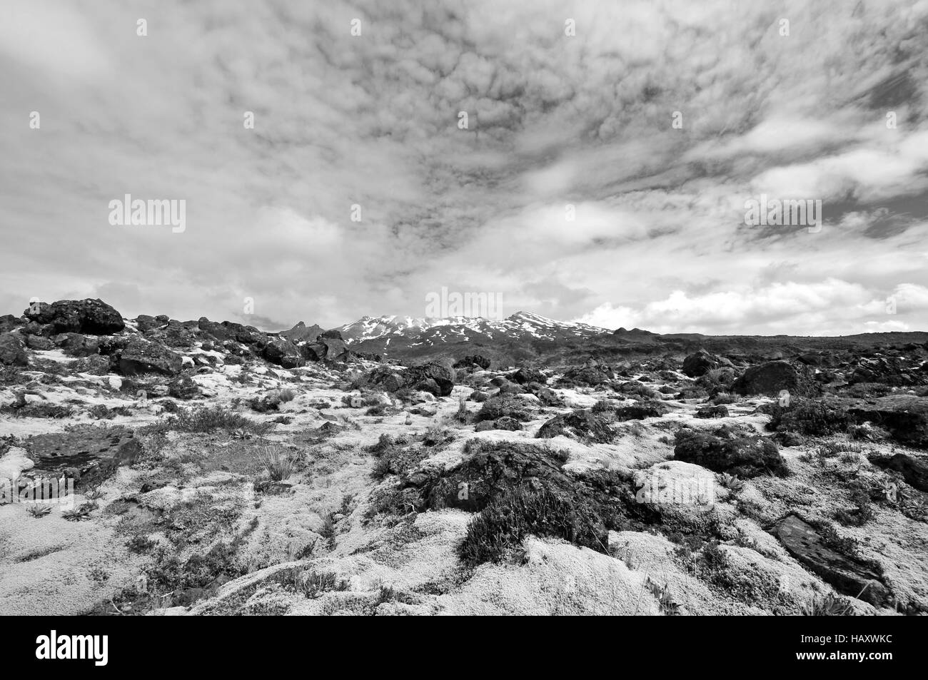 Alpine terrain around Tongariro National Park, North Island New Zealand ...