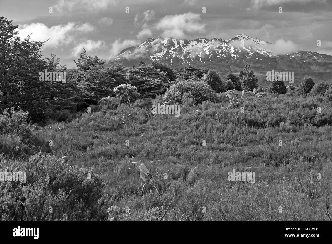 Alpine terrain around Tongariro National Park, North Island New Zealand ...