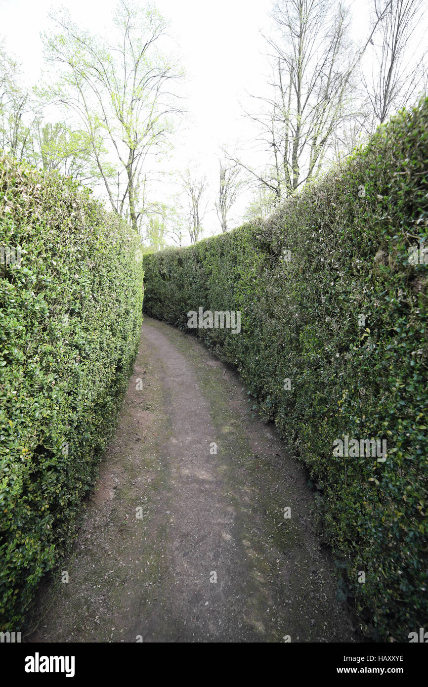 dead end street in an intricate maze of hedges Stock Photo - Alamy