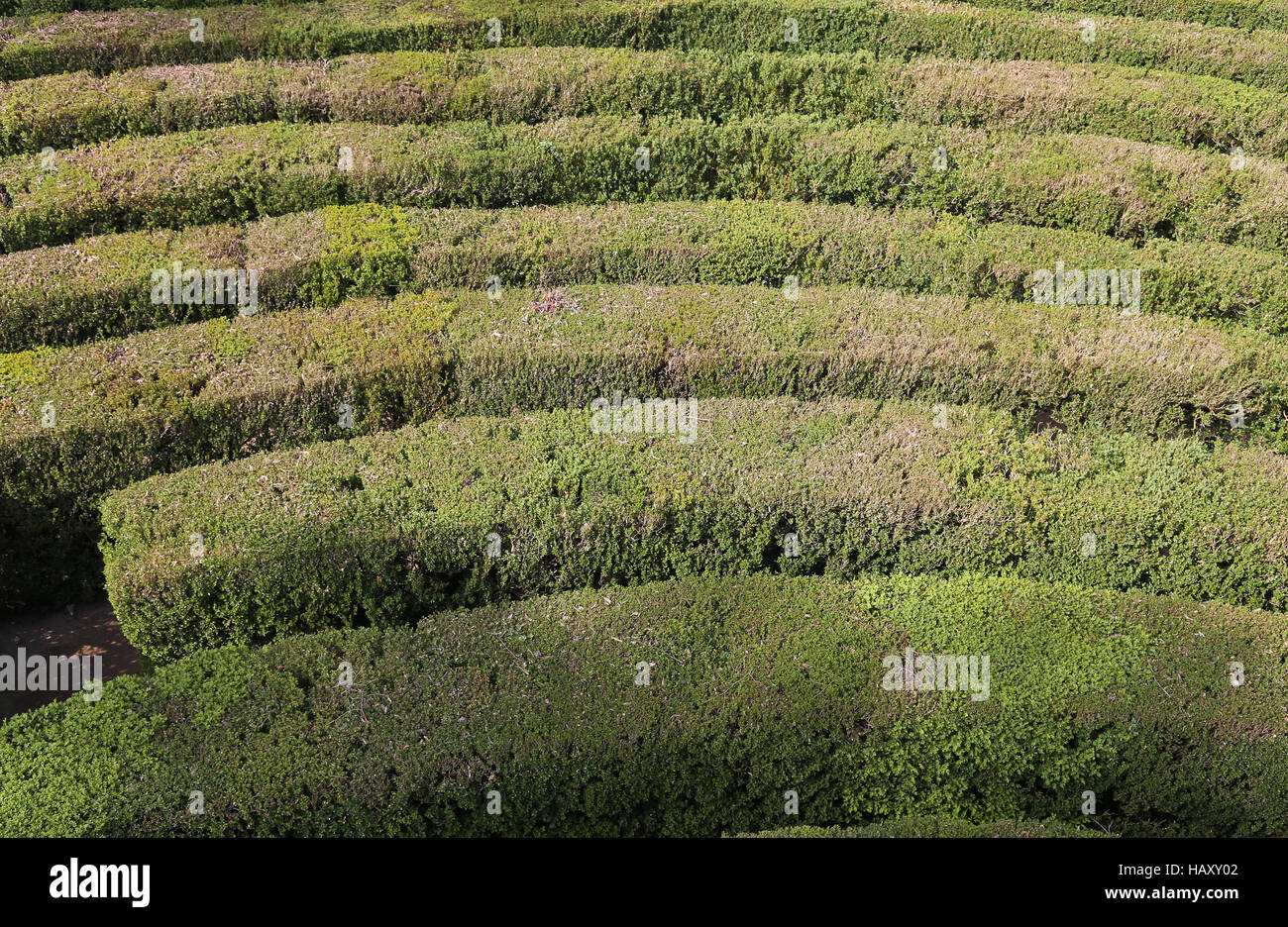 aerial view of a complex maze of hedges Stock Photo - Alamy