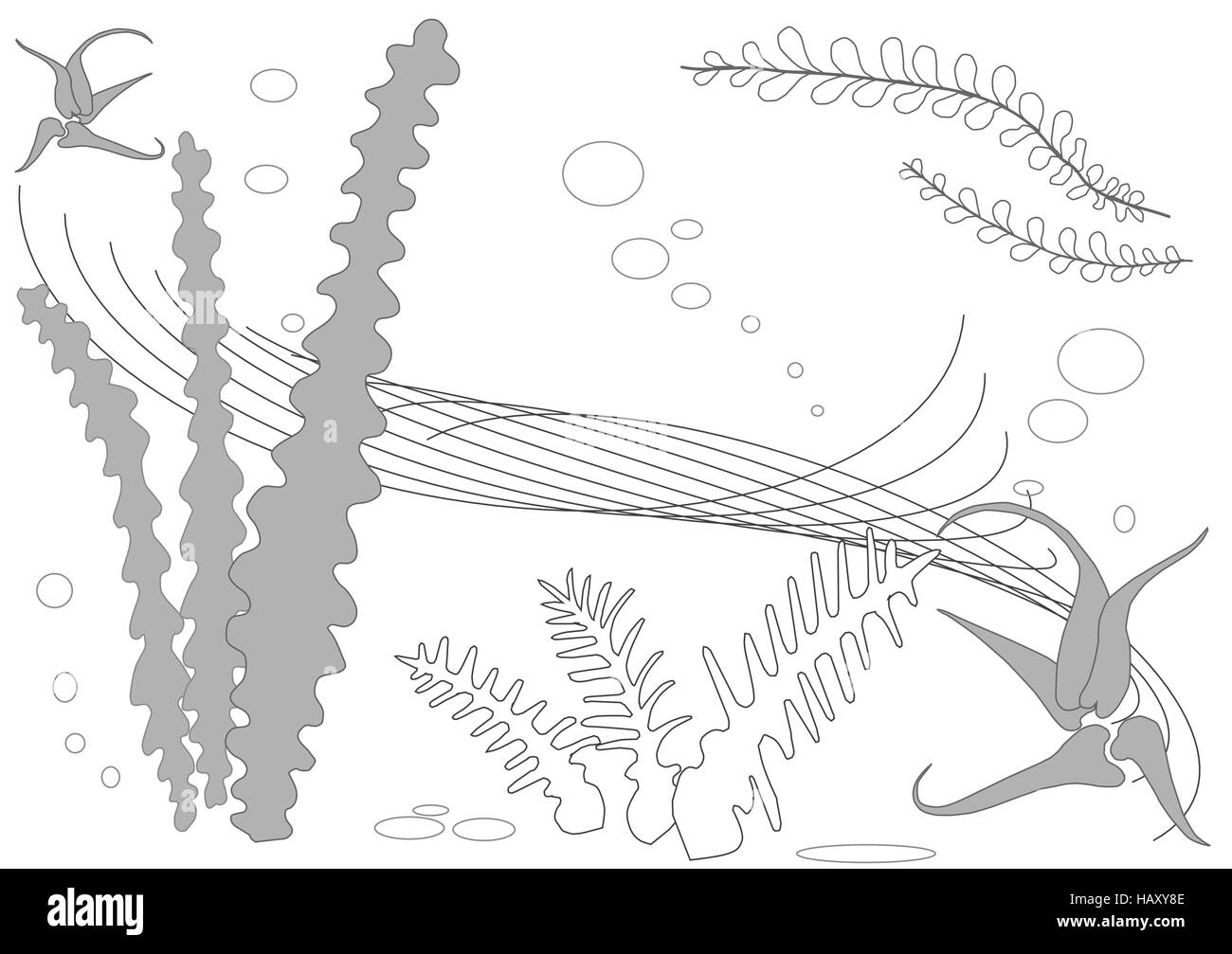 Abstract Underwater Plants and Algae Background Stock Vector Image ...