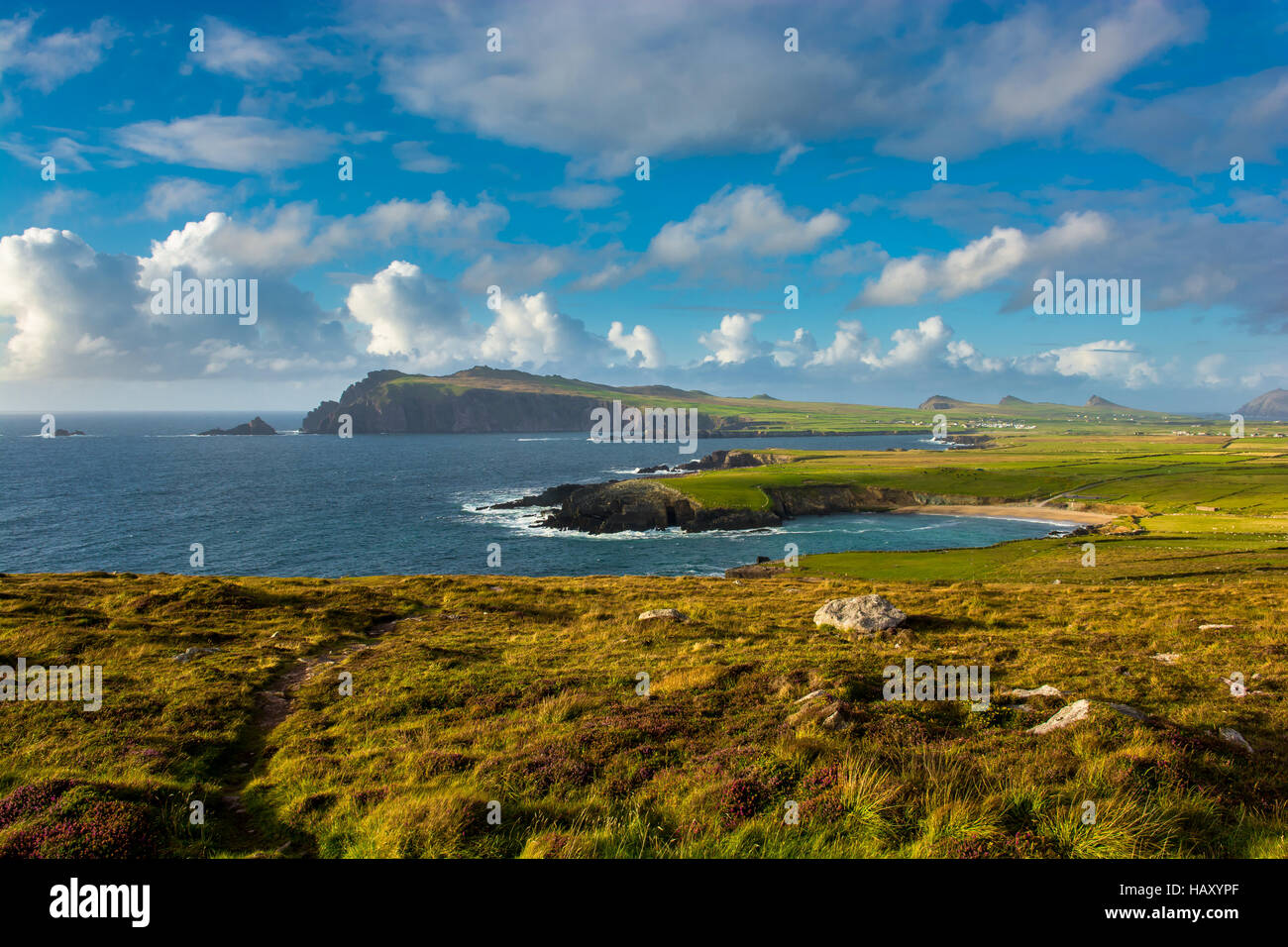 Coastal landscape in Tipperary in Ireland Stock Photo - Alamy