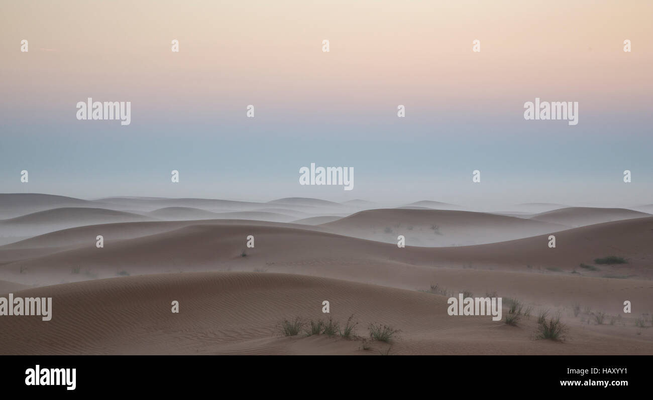 Mist in a desert at sunrise near Dubai, UAE Stock Photo - Alamy