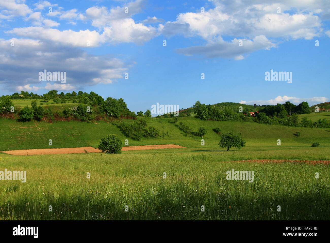 Beautiful spring landscape near the Sarajevo , Bosnia and Herzegovina ...