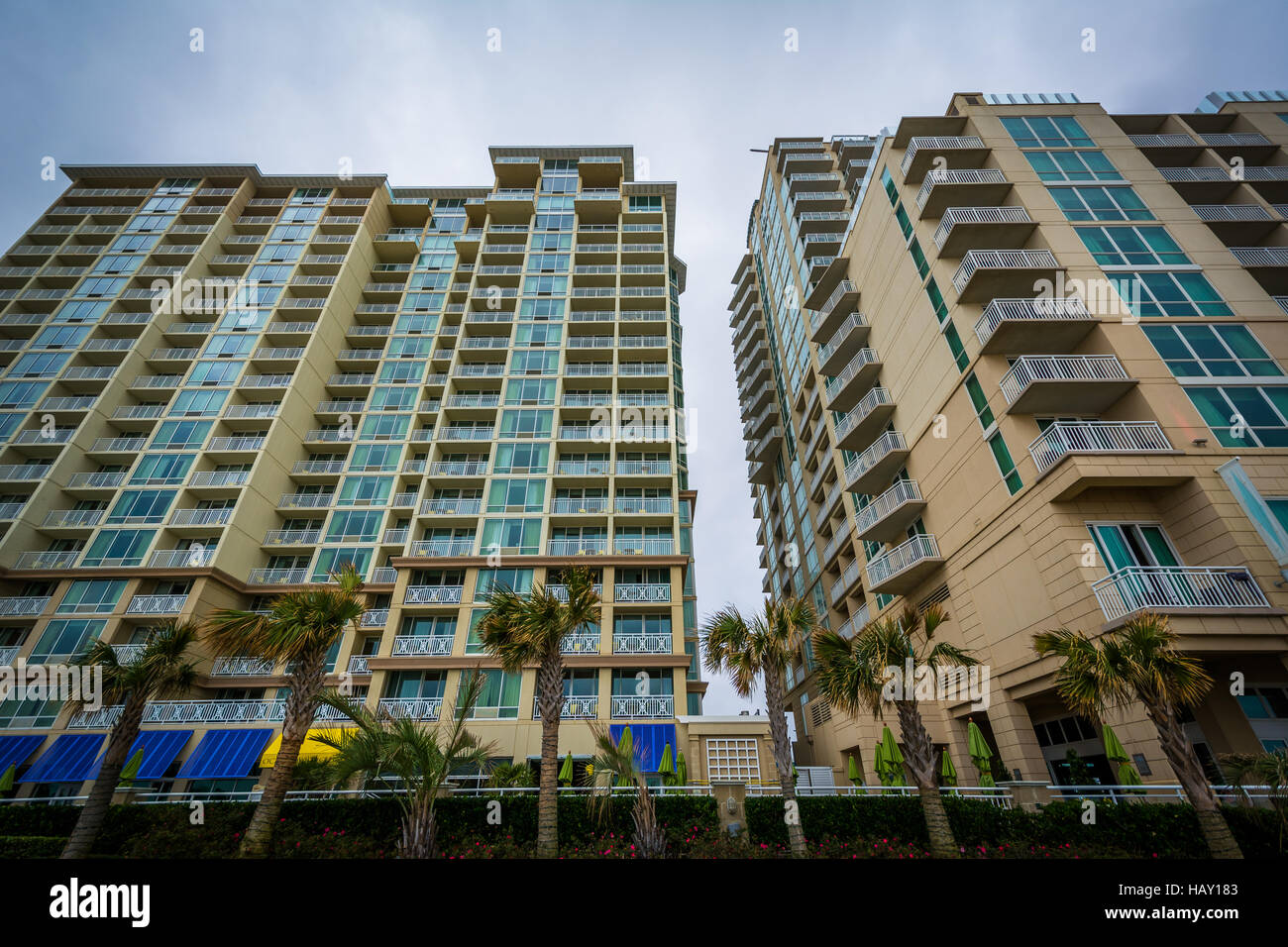 Boardwalk along beach in palm beach hi-res stock photography and images ...