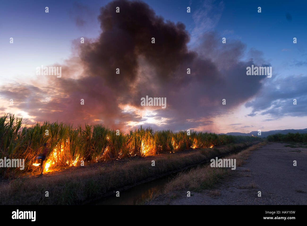 cane fire burning Stock Photo - Alamy