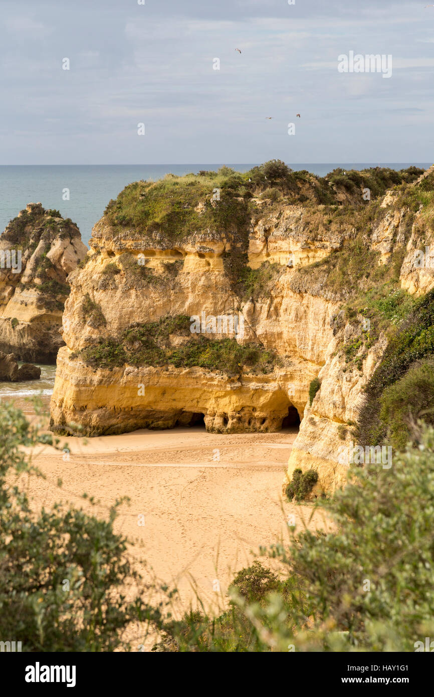 Praia da rocha hi-res stock photography and images - Alamy