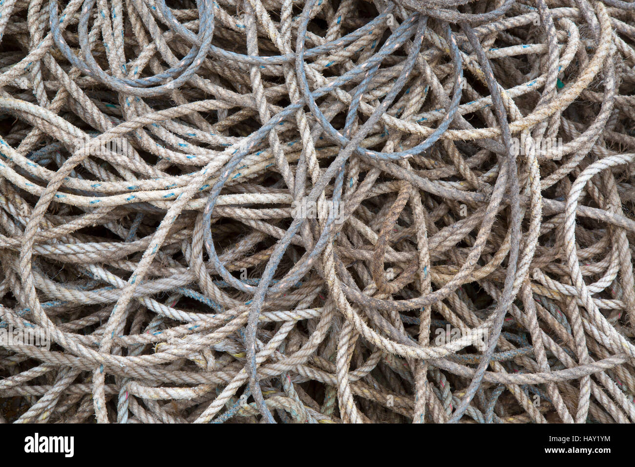 Tangle pattern hi-res stock photography and images - Alamy