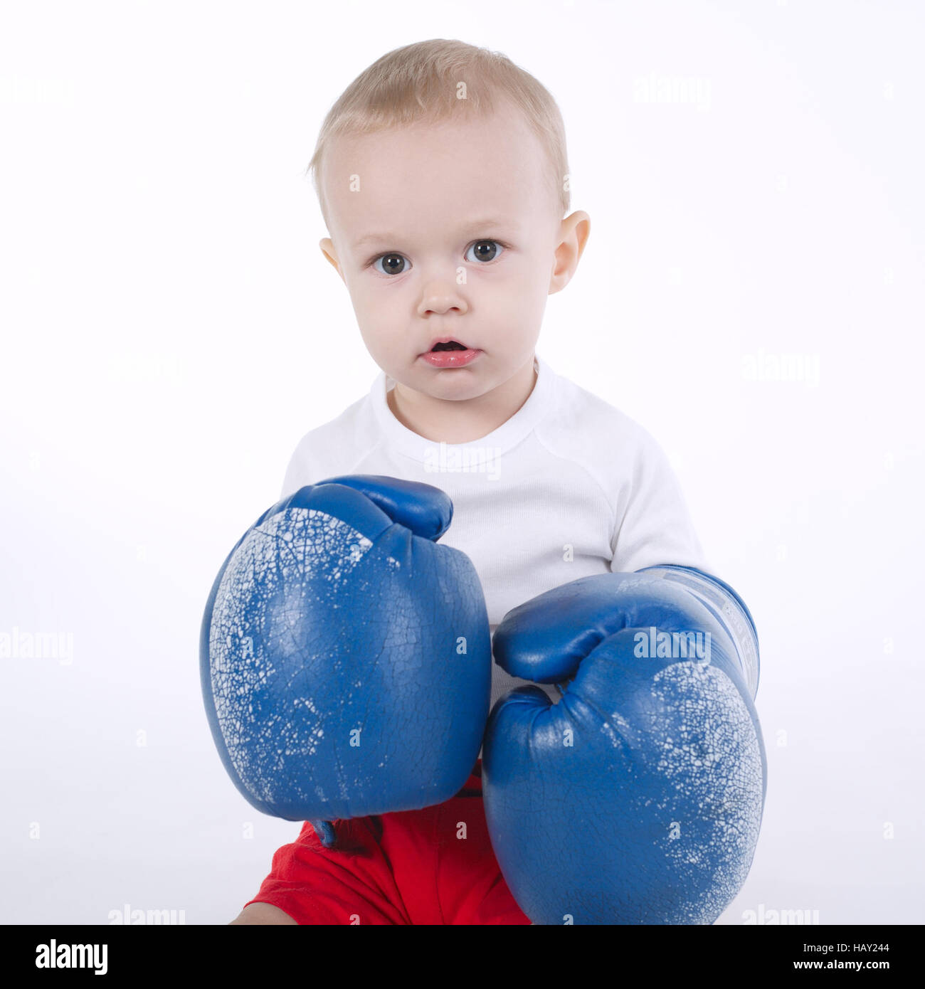 photo of cute little boxer on white Stock Photo - Alamy