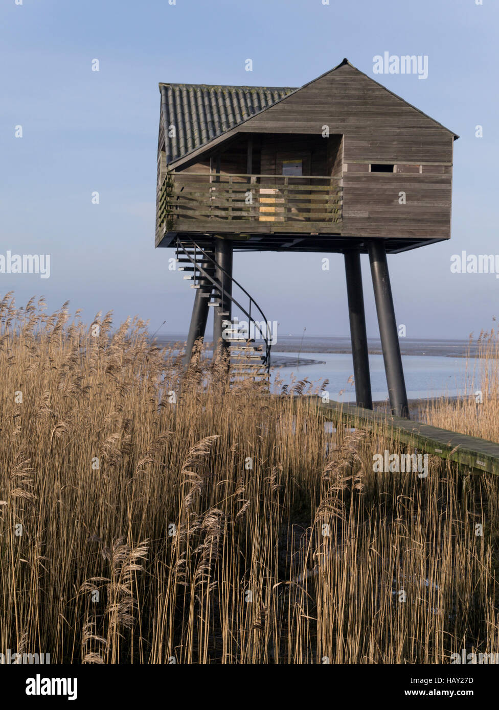Hide is a shelter hi-res stock photography and images - Alamy