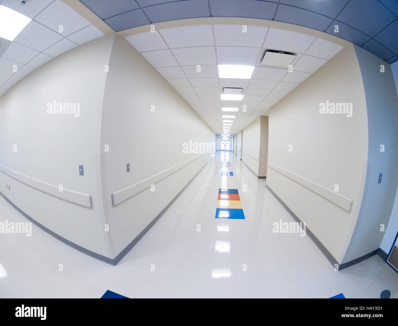 Cellular Immunotherapy QC Lab Stock Photo - Alamy