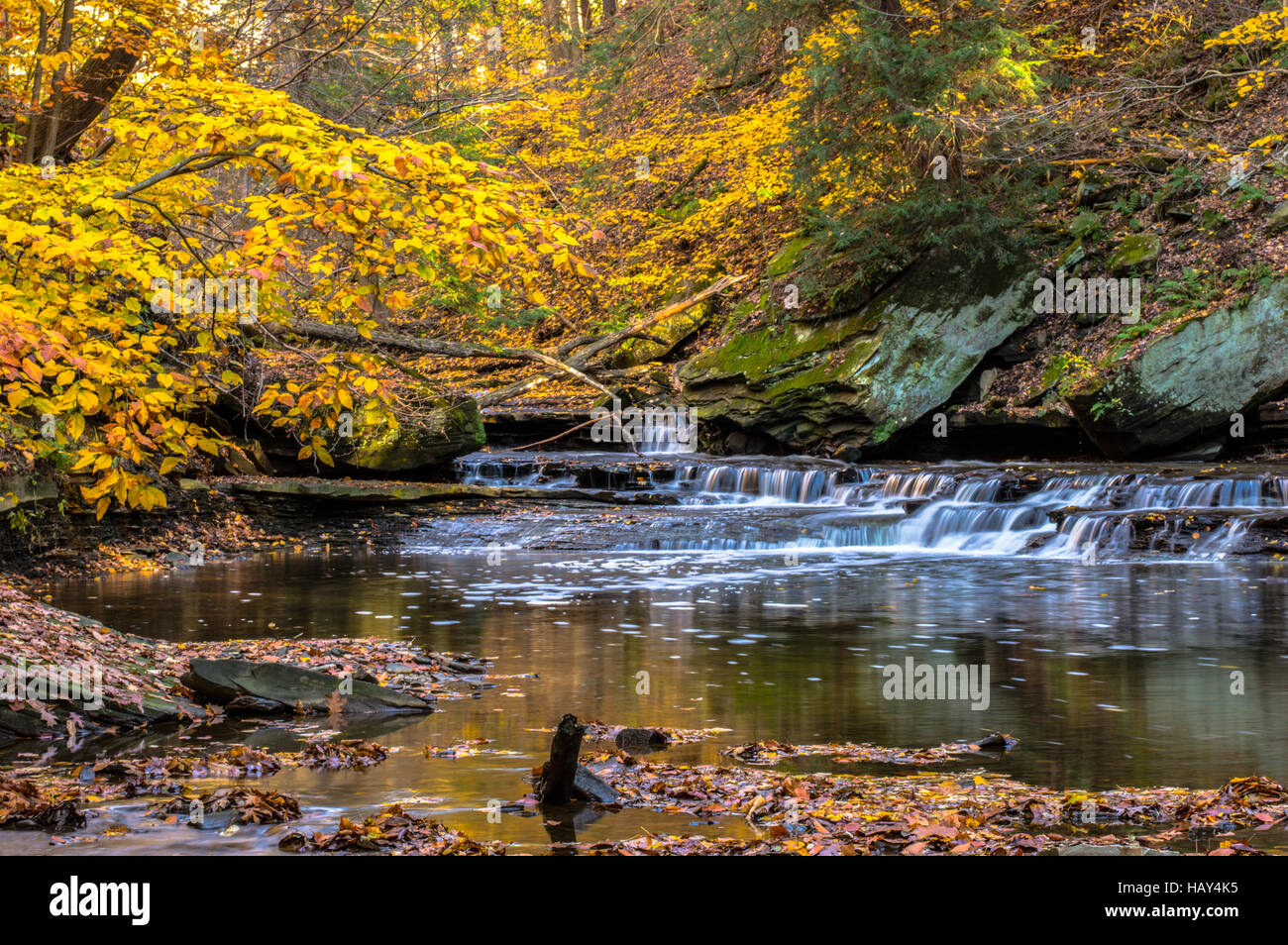 Cleveland ohio autumn colors hi-res stock photography and images - Alamy
