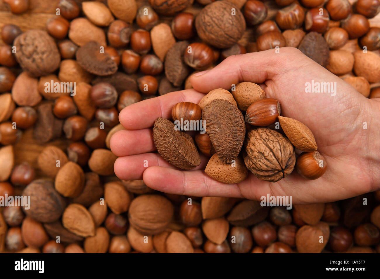 General view of mixed nuts in their shells including hazelnuts, walnuts ...