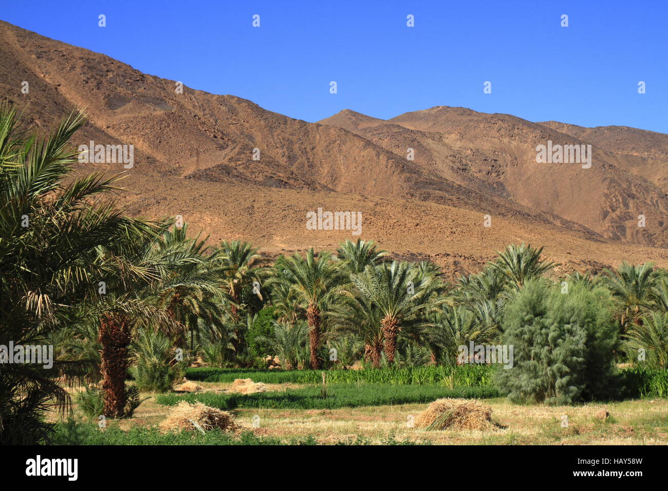 Wadi draa hi-res stock photography and images - Alamy