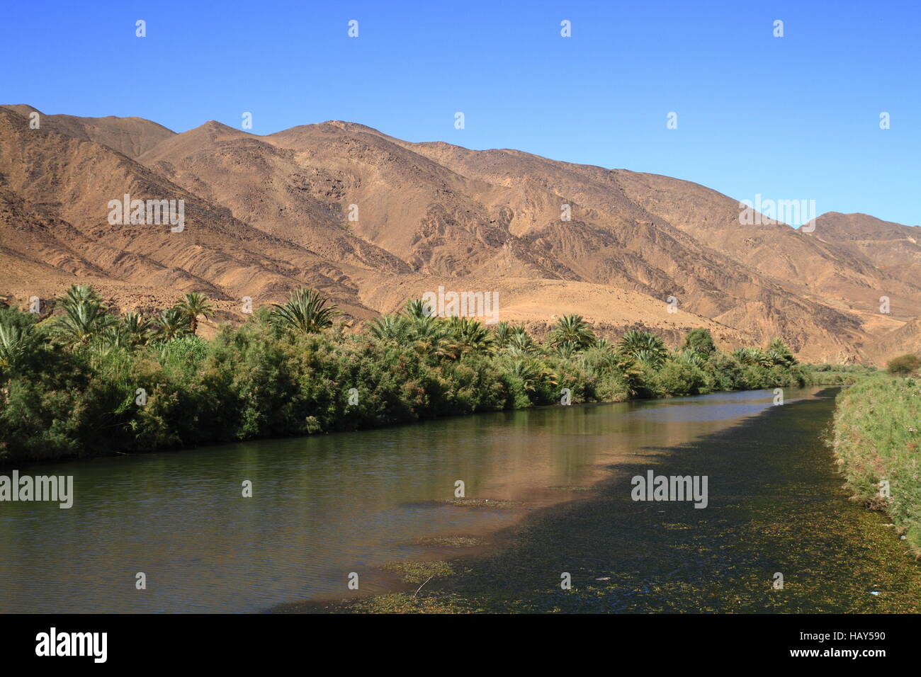 Wadi draa hi-res stock photography and images - Alamy