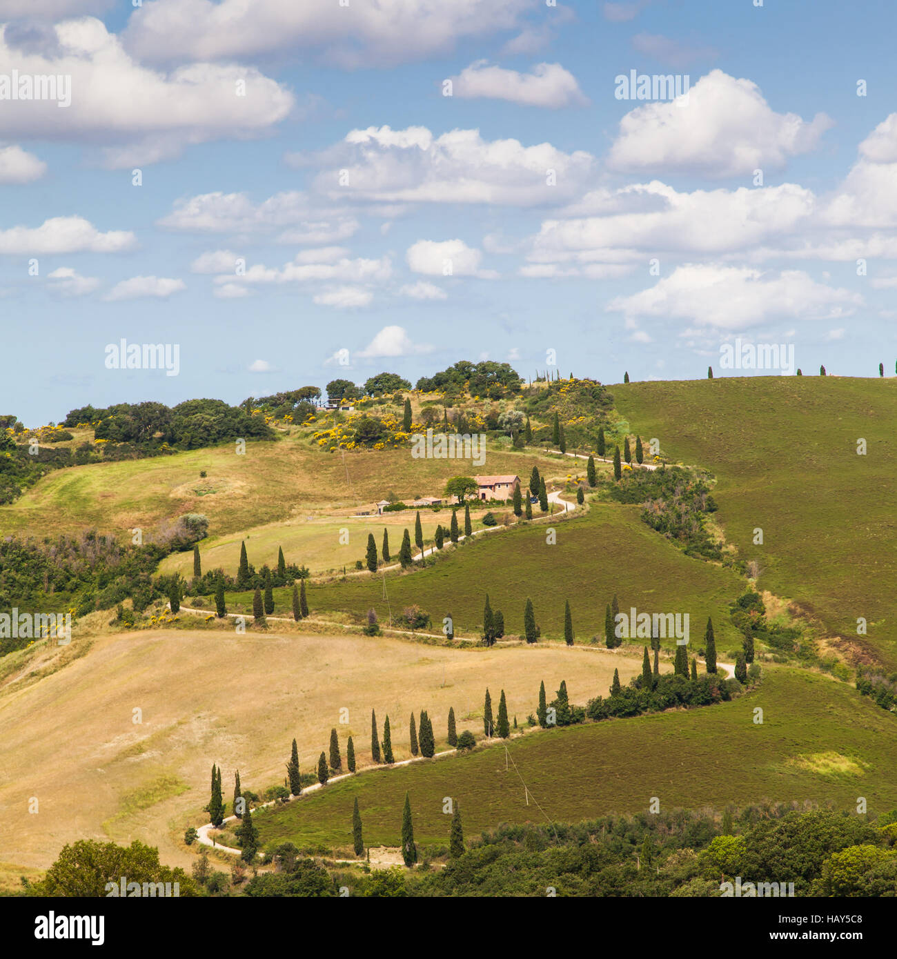 Foce of nature hi-res stock photography and images - Alamy