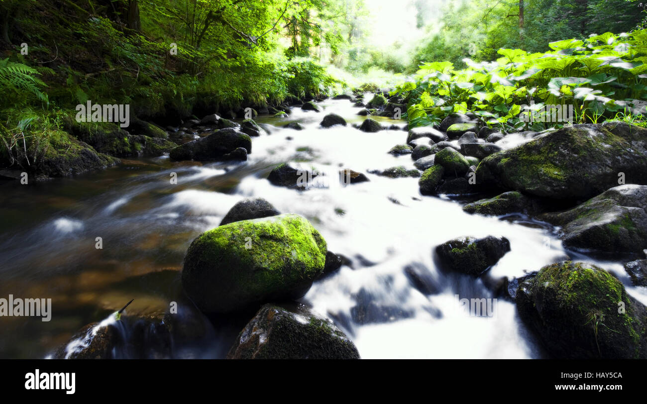 Haslach canyon hi-res stock photography and images - Alamy