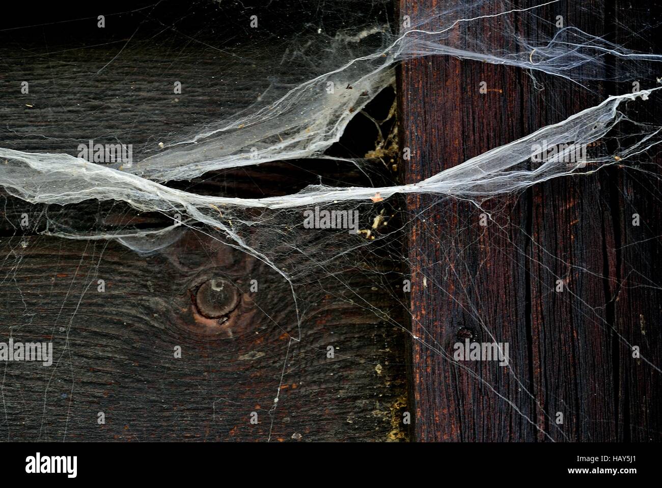 Netz fangen hi-res stock photography and images - Alamy