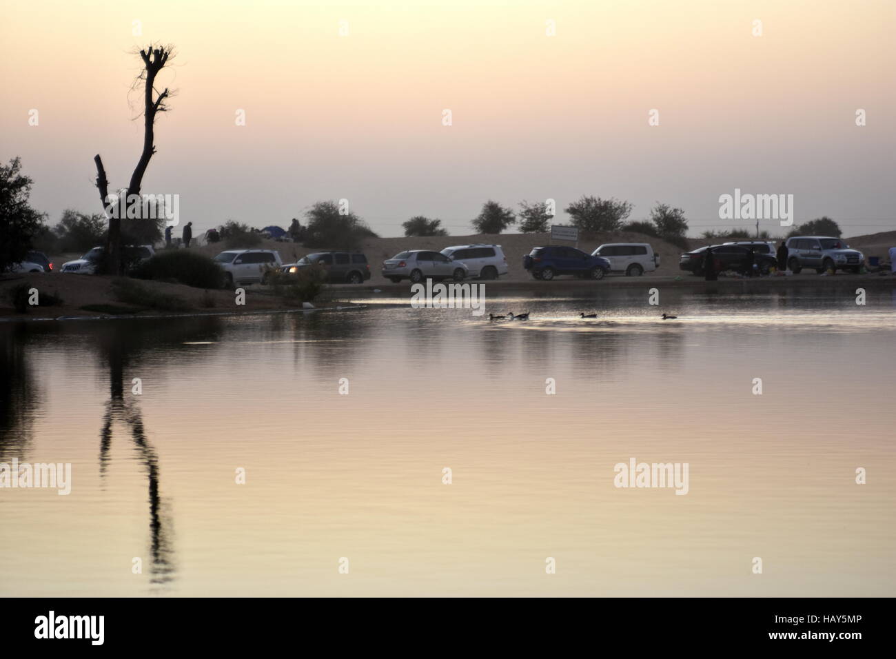 Al qudra lakes al qudra lakes hi-res stock photography and images - Alamy