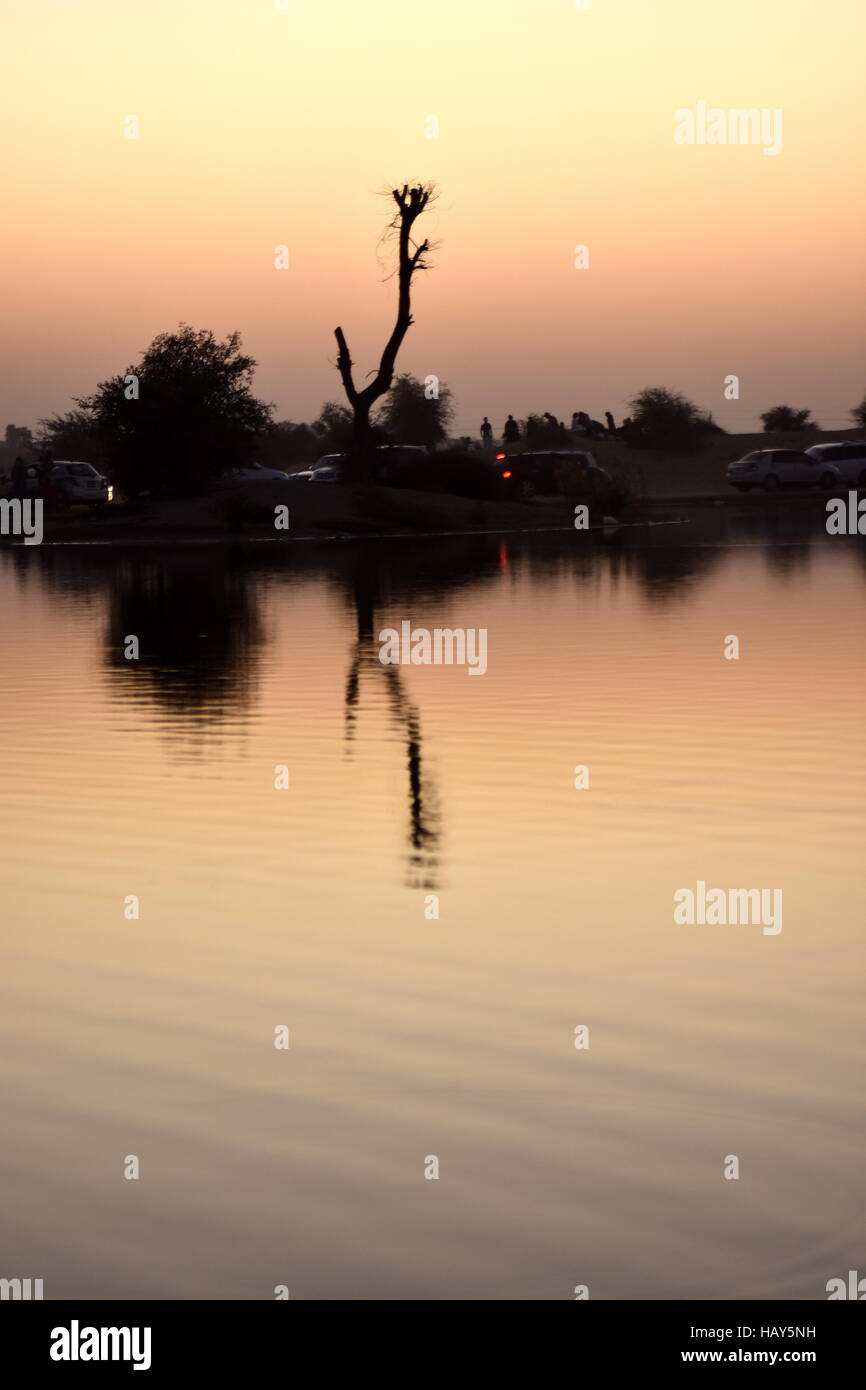 Al Qudra Lake, Dubai, United Arab Emirates Stock Photo - Alamy