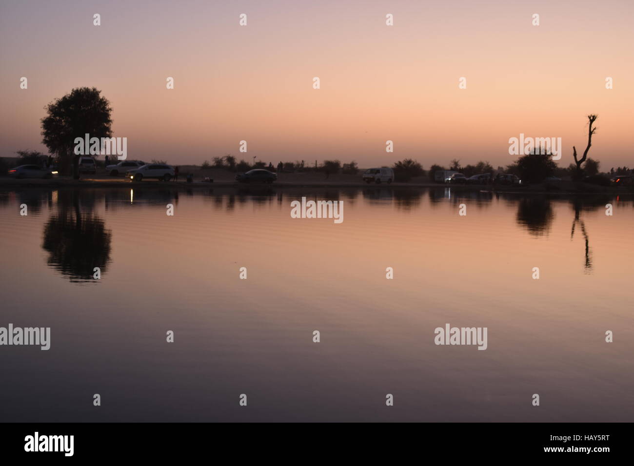 Al Qudra Lake, Dubai, United Arab Emirates Stock Photo - Alamy