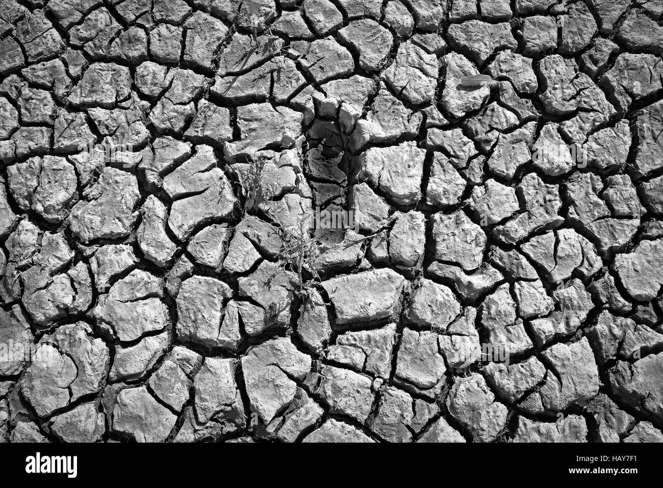 Single imprint of a bare human foot on a cracked dry muddy underground ...