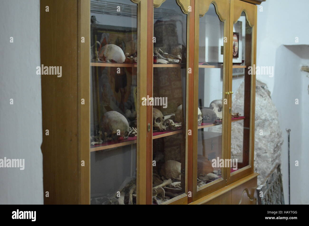 human skulls in a glass case Stock Photo - Alamy